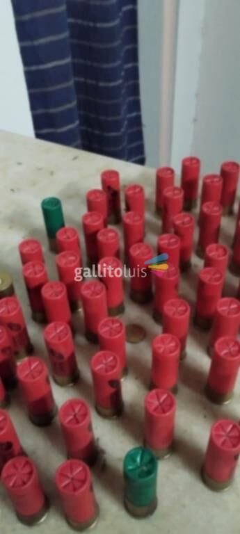 Cartuchos 12 Con Postas - productos Gallito.com