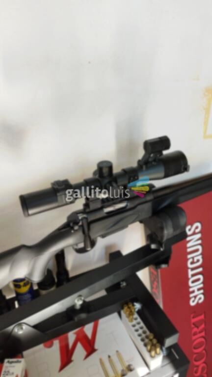 Smith&Wesson Modelo36,Franchi 223,Mauser M18, Sauer 101 Y - productos ...