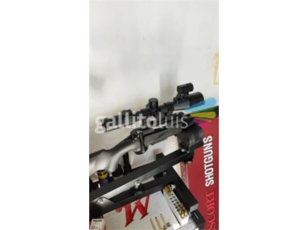 Smith&Wesson Modelo36,Franchi 223,Mauser M18, Sauer 101 Y - productos ...